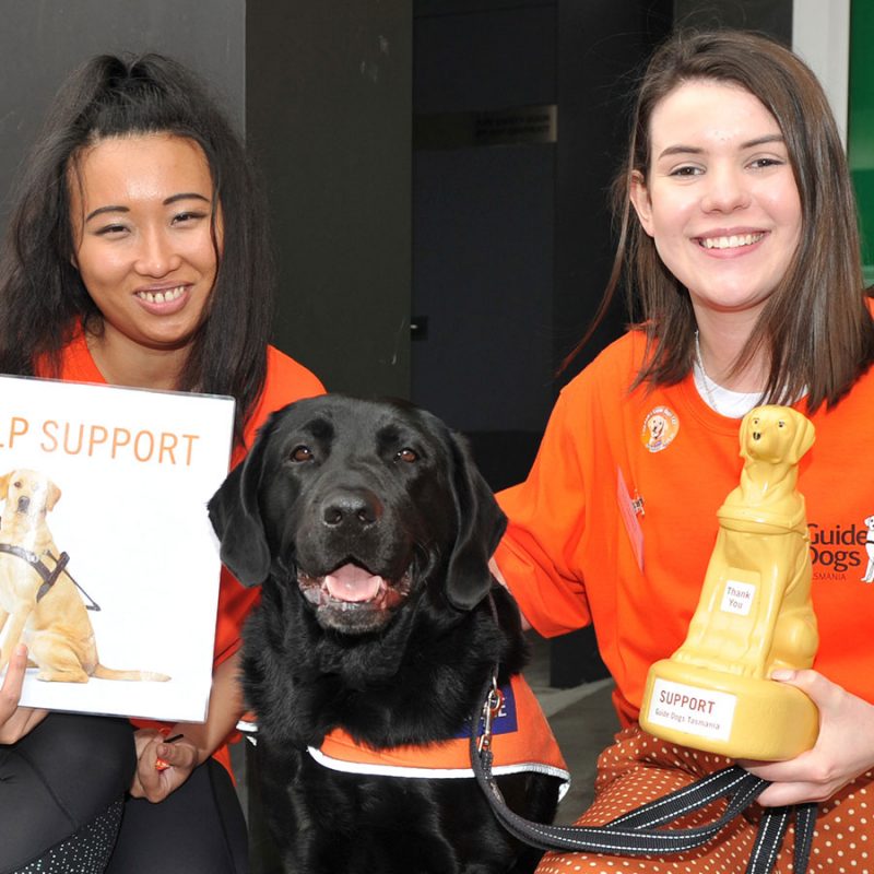 Become a Volunteer - Guide Dogs Tasmania