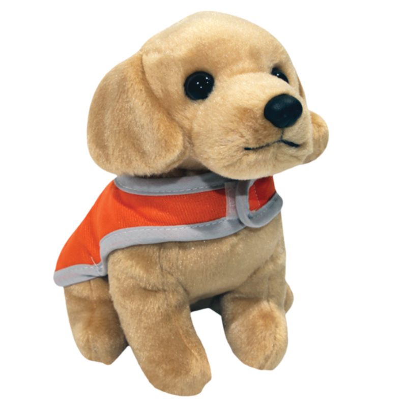 Rumpus - Guide Dogs Tasmania