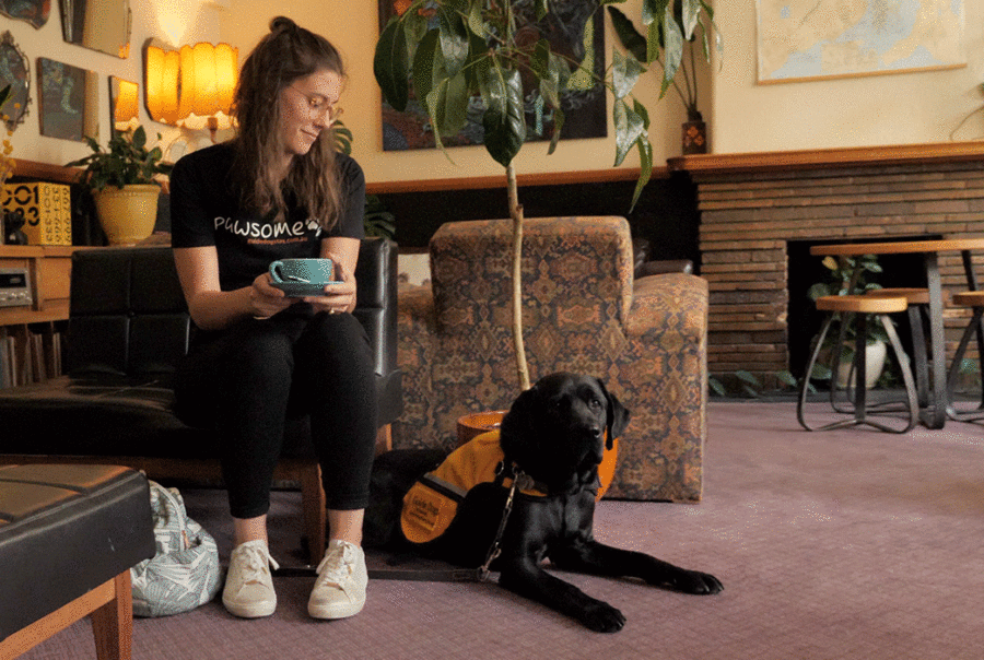 Our Stories - Guide Dogs Tasmania