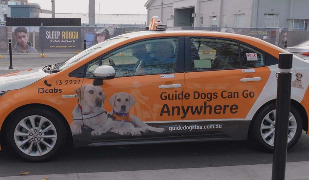 Guide Dogs, taxis, buses and access rights - Guide Dogs Tasmania